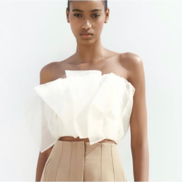 Zara | Tops | Zara Nwt Organza Crop Top S | Poshmark